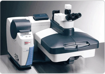 신코 뉴스레터 2009년12월호